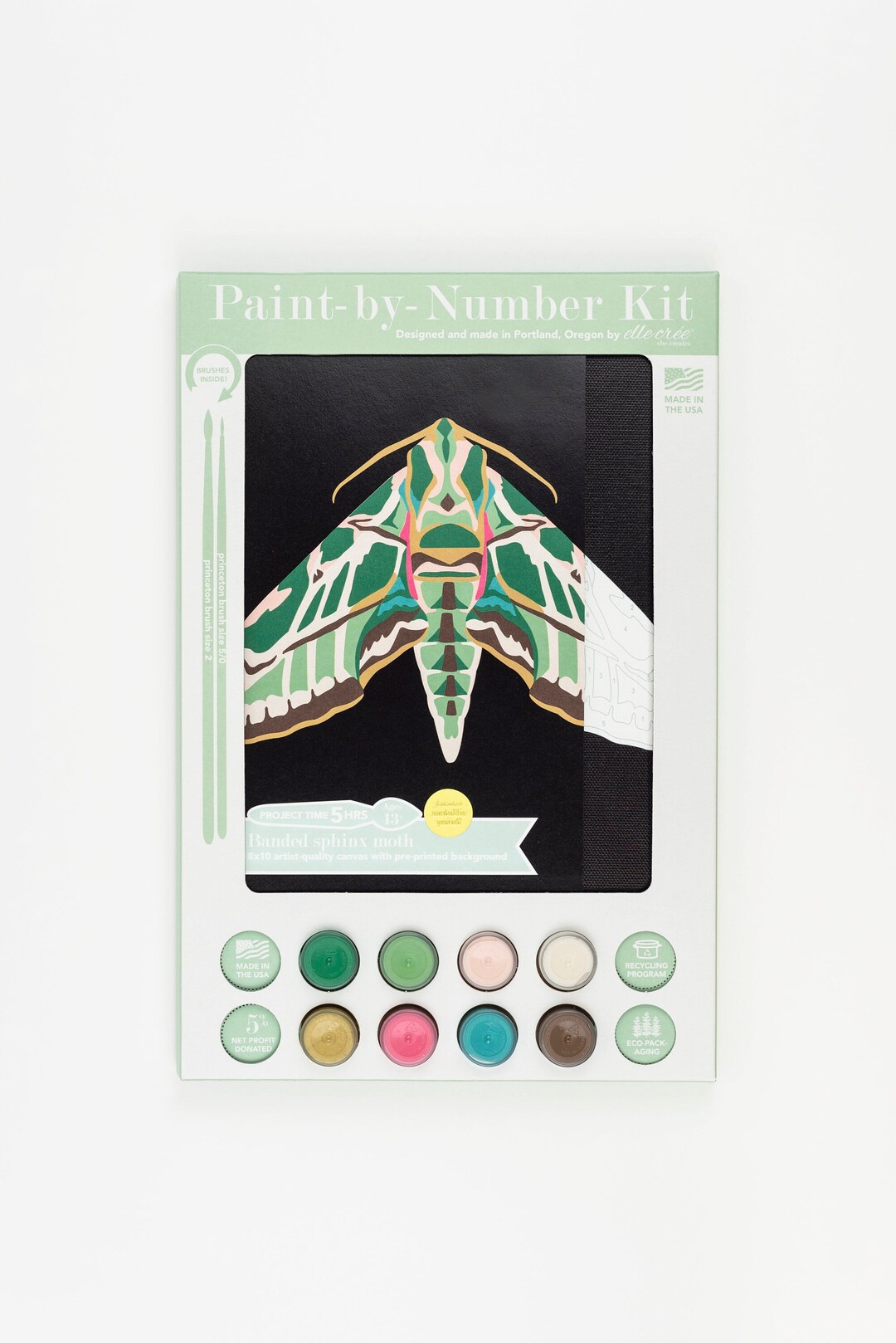 Banded Sphinx Moth Paint-by-number Kit - Etsy