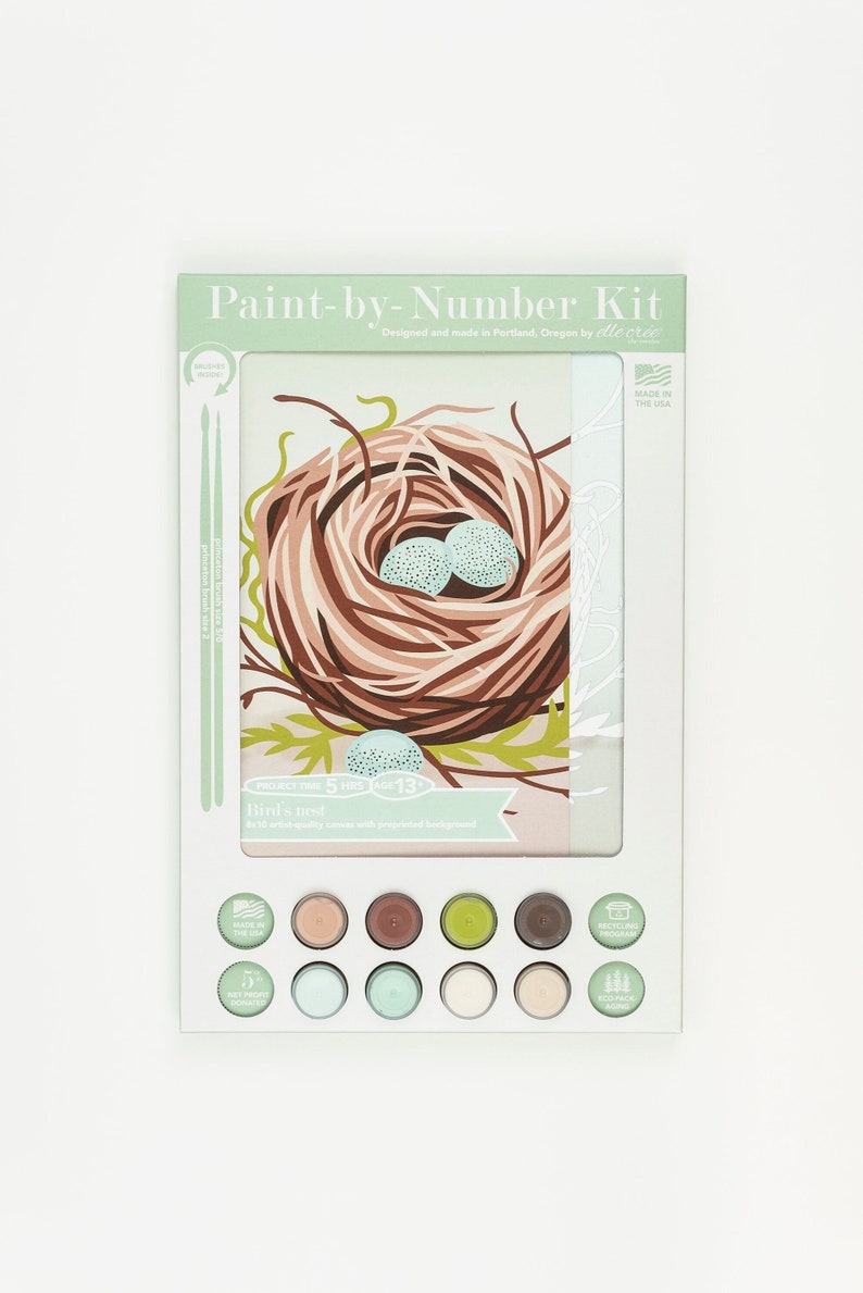 Bird's Nest Paint-by-number Kit 8x10 - Etsy