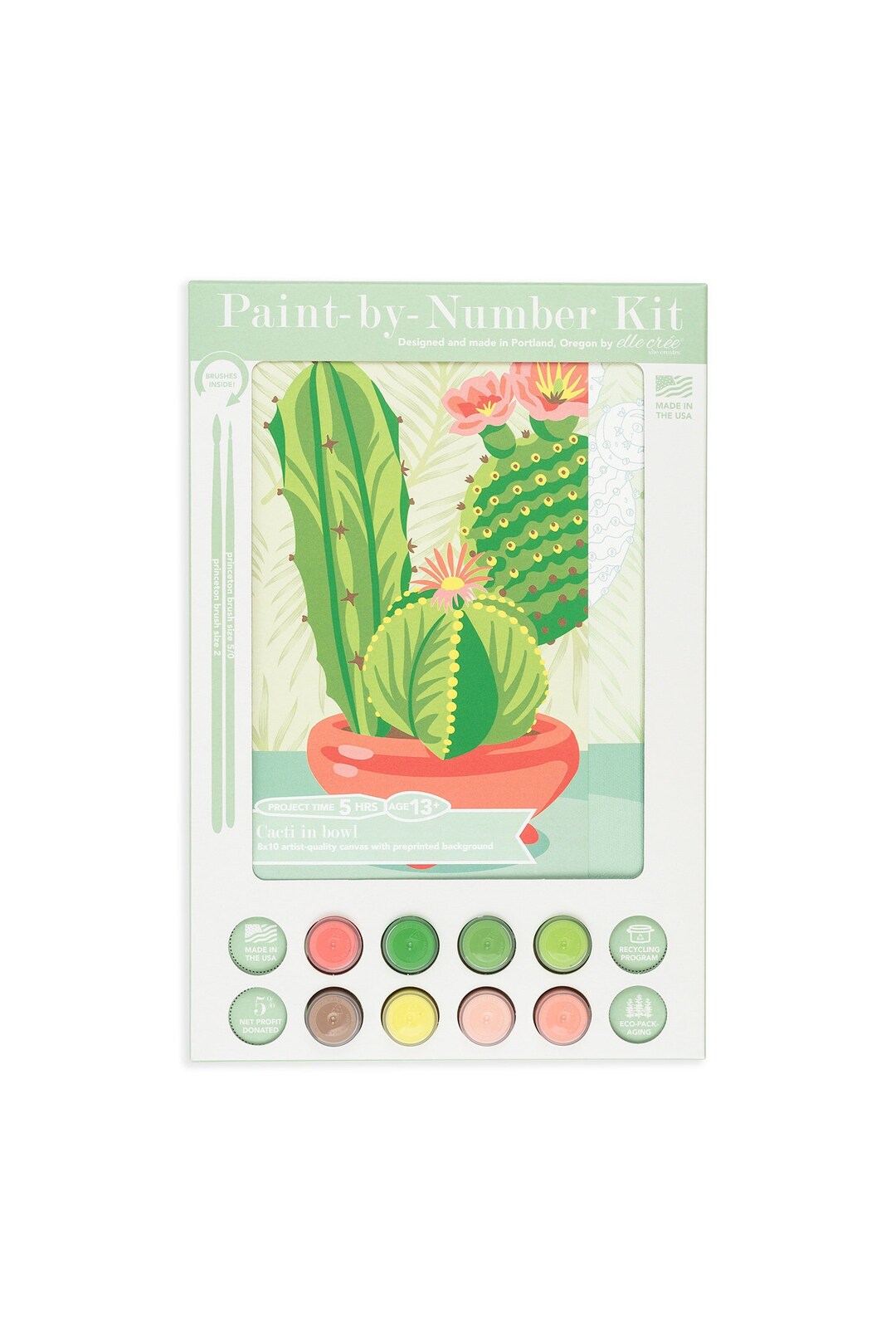 Cacti in Bowl Paint-by-number Kit 8x10 - Etsy