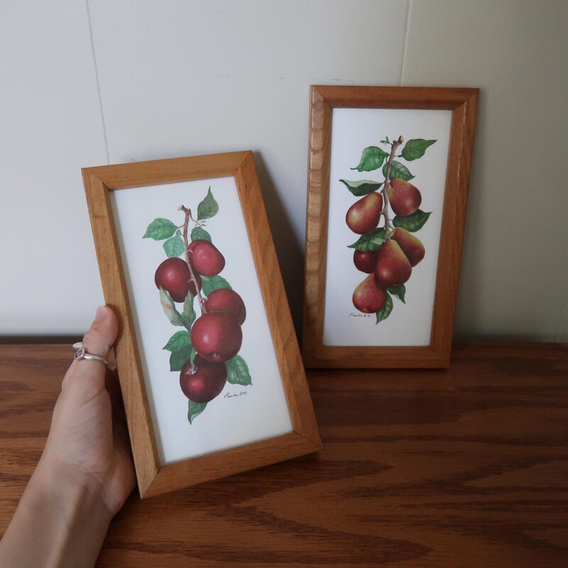 Framed Fruit - Etsy