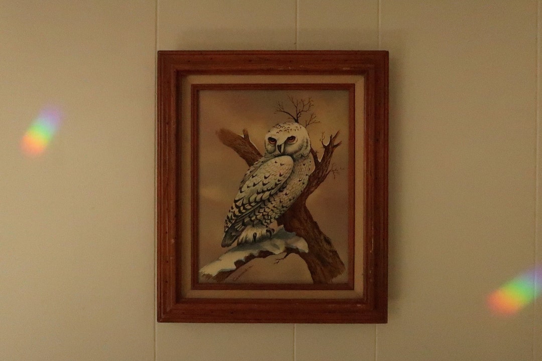 Vintage Framed Snowy Owl Art Print Rustic Wall Decor - Etsy