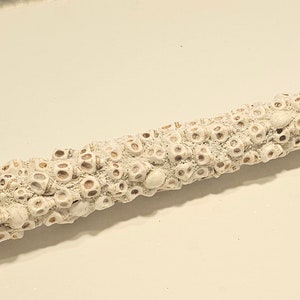 Vintage Revisited/excavation /skull Walking Cane - Etsy