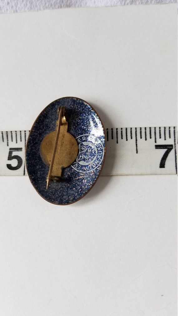 Vintage WIEN AUSTRIA Enamel on Copper PIN - Gem