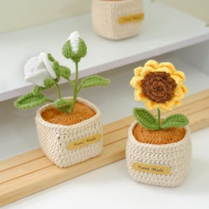 Crochet Mini White Rose Flower Pot PDF Pattern, Desktop Flower Pots ...