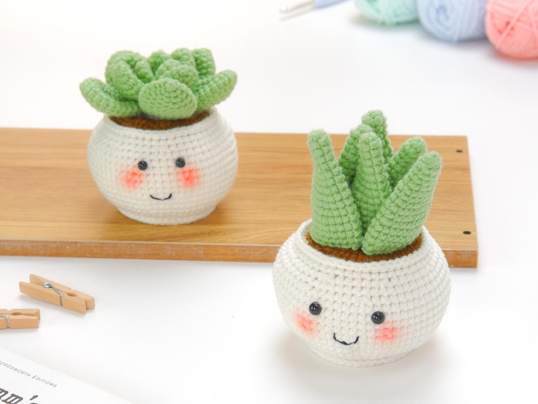 Easy Crochet Succulent Pot PDF Pattern, Bundle 2in1 Step by Step ...
