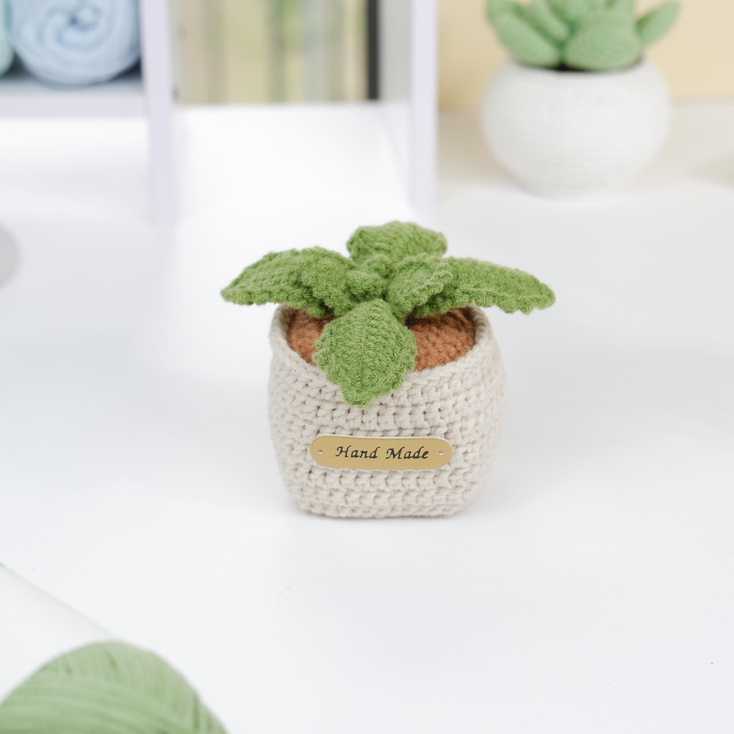 Crochet Plant Pot PDF Pattern - Easy Crochet Bundle 3IN1 Plant Pots ...