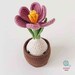 Crochet Crocus Potted Pattern - Crochet Flower Pattern - Photo Tutorial ...