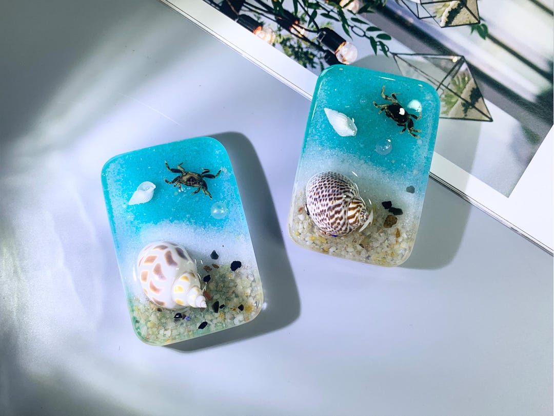 Funny Shell Refrigerator Magnet Set of 4 Kitchen Decor Gift, Cute Shell ...