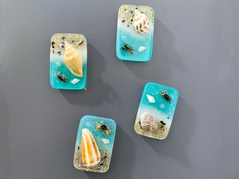 Funny Shell Refrigerator Magnet Set of 4 Kitchen Decor Gift, Cute Shell ...