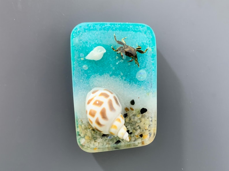 Funny Shell Refrigerator Magnet Set of 4 Kitchen Decor Gift, Cute Shell ...