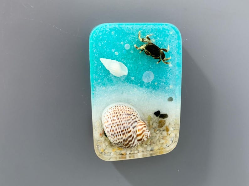 Funny Shell Refrigerator Magnet Set of 4 Kitchen Decor Gift, Cute Shell ...