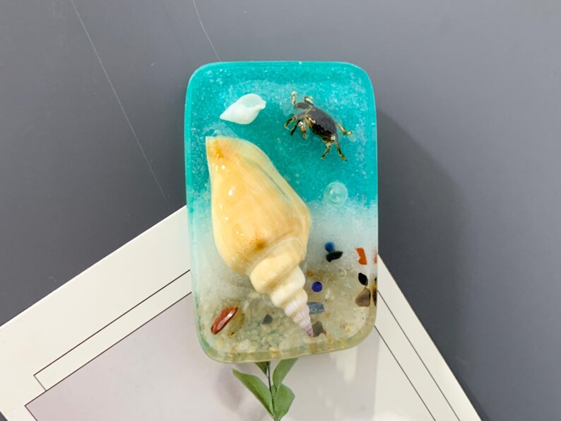 Funny Shell Refrigerator Magnet Set of 4 Kitchen Decor Gift, Cute Shell ...