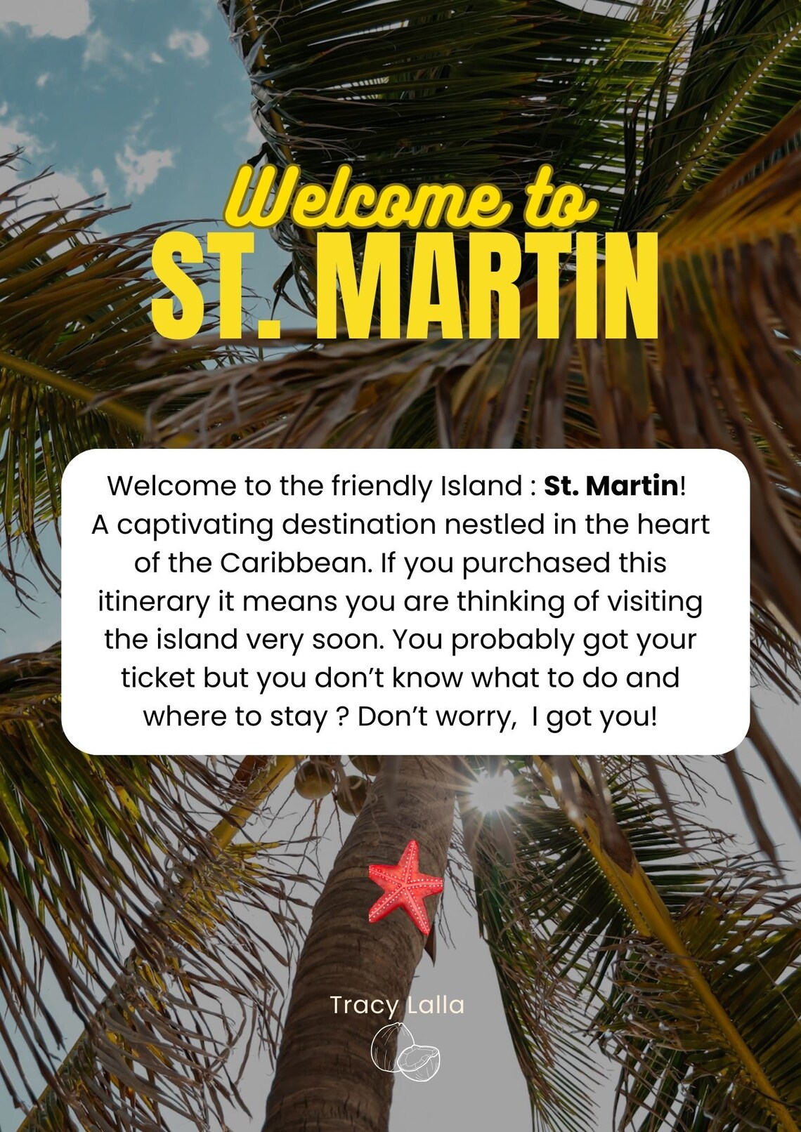 The Best of Saint-martin, Your 6-day Travel Guide for a Unique ...