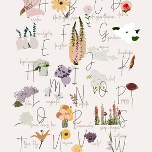 Botanical Alphabet Poster | Flower Alphabet Poster | Flower Abcs ...