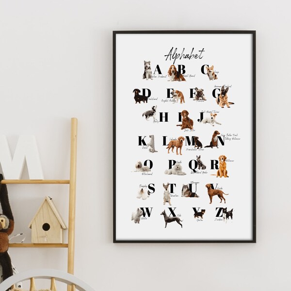 Dog Room Decor - Etsy