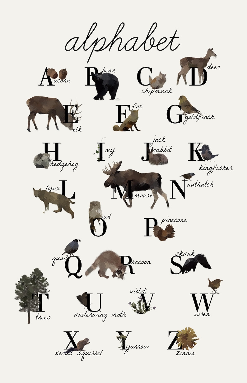 Woodland Alphabet Poster | Alphabet Poster | Woodland ABS | Nursery ...