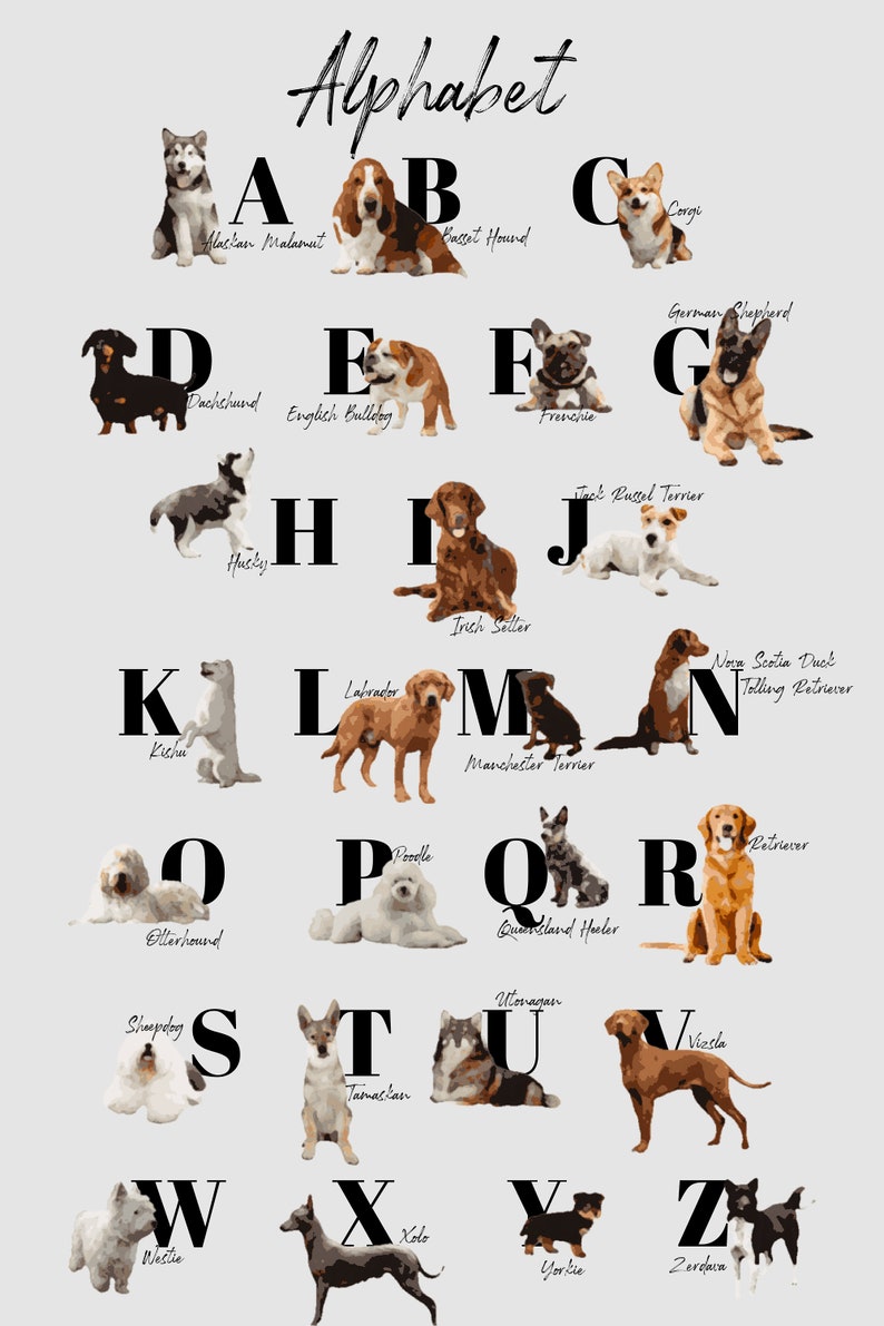 Dog Alphabet Poster | Kid's Room Decor | Puppy Abcs Poster | Digital ...
