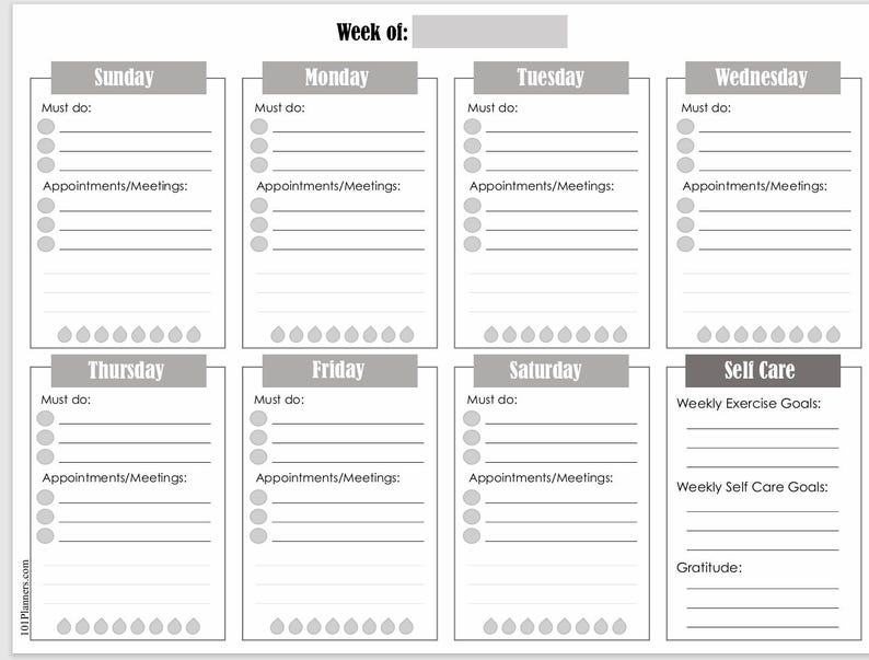 Editable Weekly Planner | Printable, Digital | Weekly Planner PDF ...