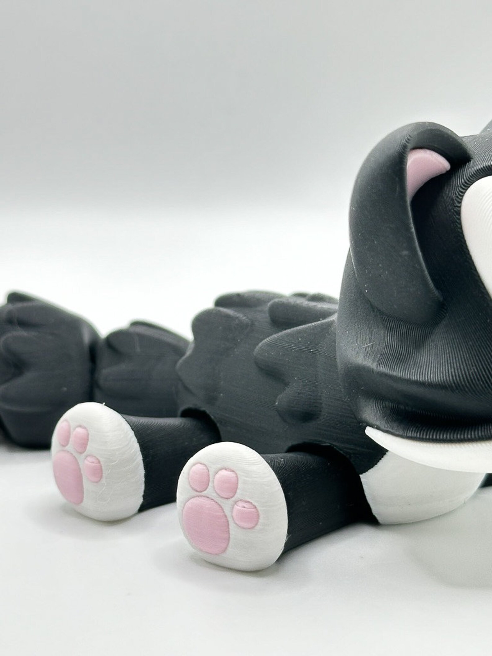 Playful Blob Cat With Flexible Body, Turning Head, Cute Toe Beans, and ...