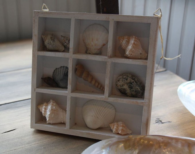 Seashell Shadow Box - Etsy