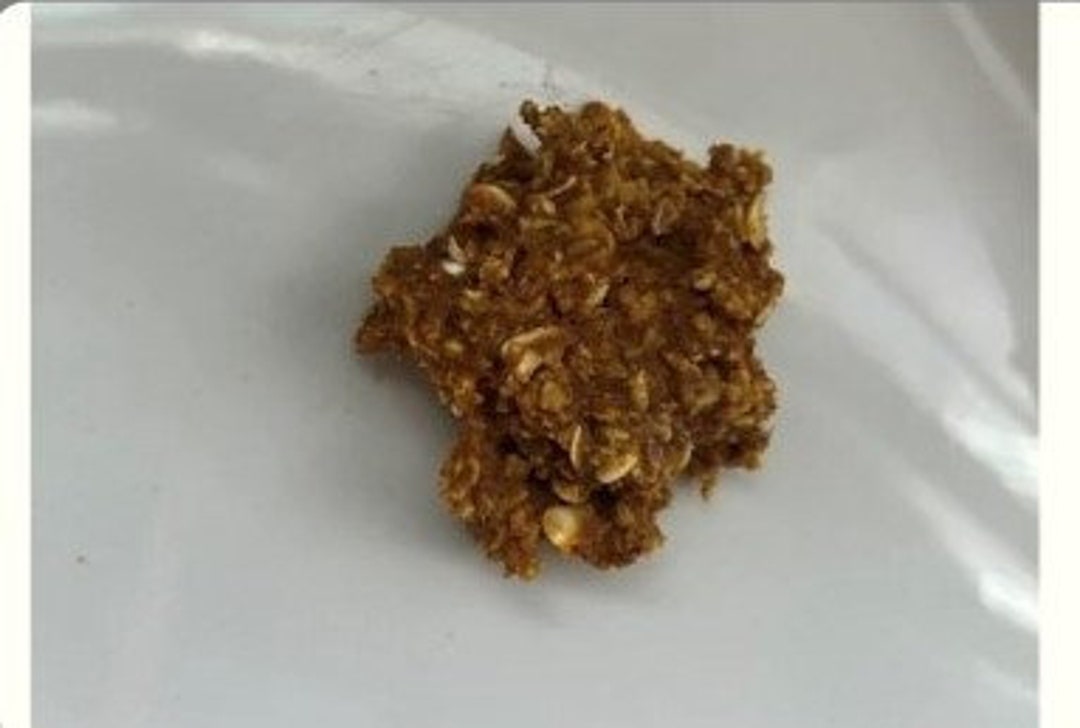 Stinky Puppy's Bakery Peanut Butter and Pumpkin Yummies - Etsy