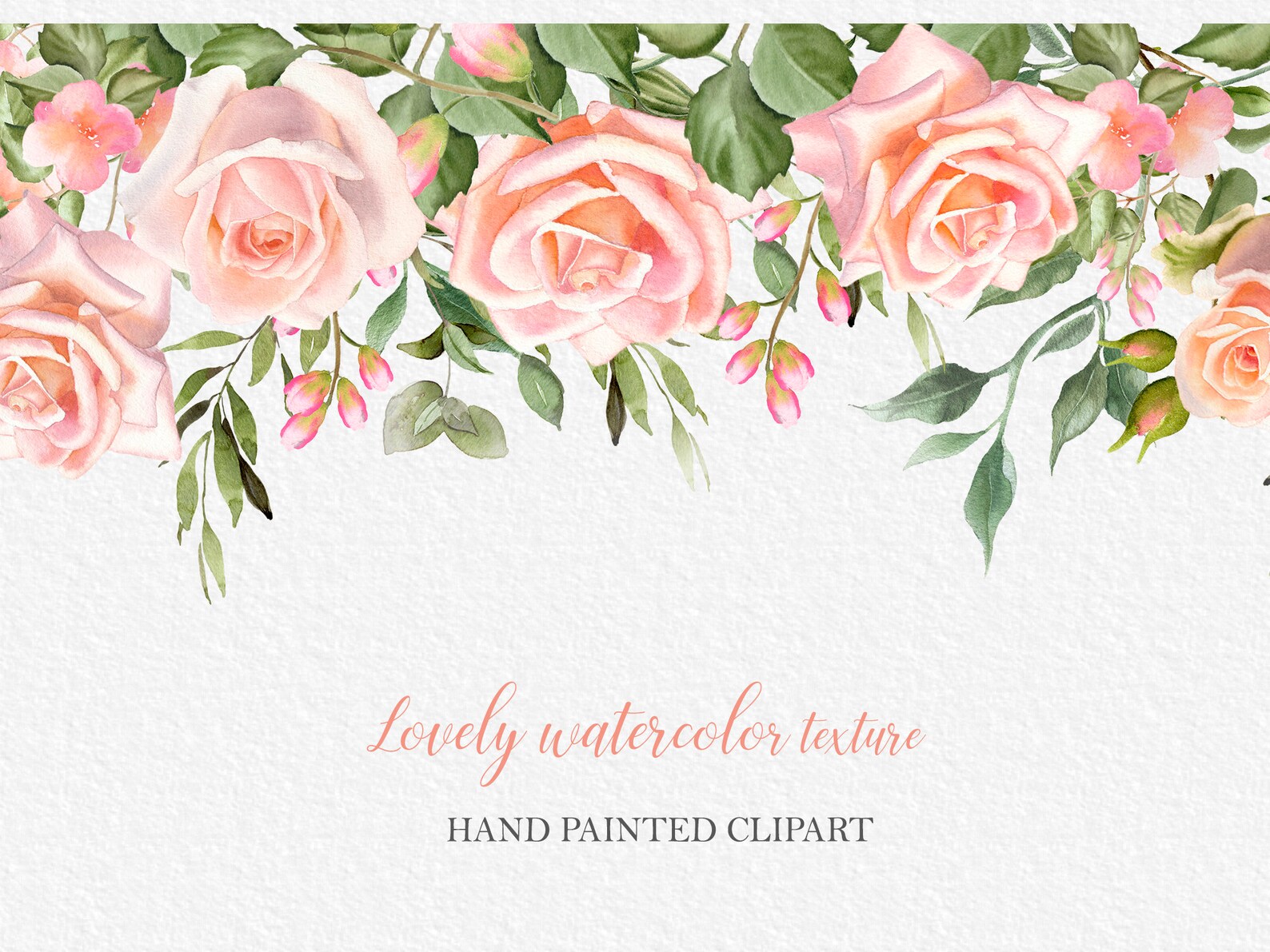 Floral Border Clipart. Watercolor Blush Rose Flower Frame PNG. Seamless ...