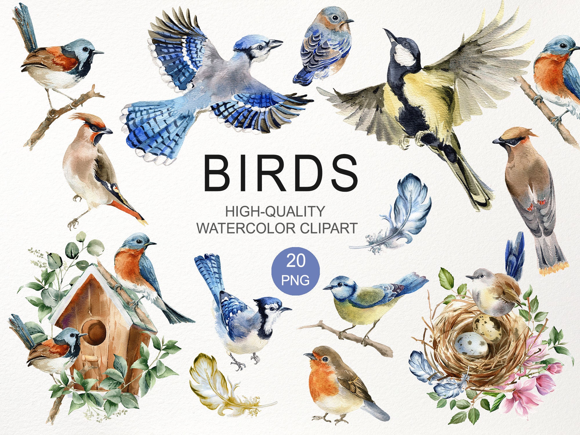 Watercolor Bird Clipart Cute Tiny Birds Bundle PNG Bird on Branch Robin ...