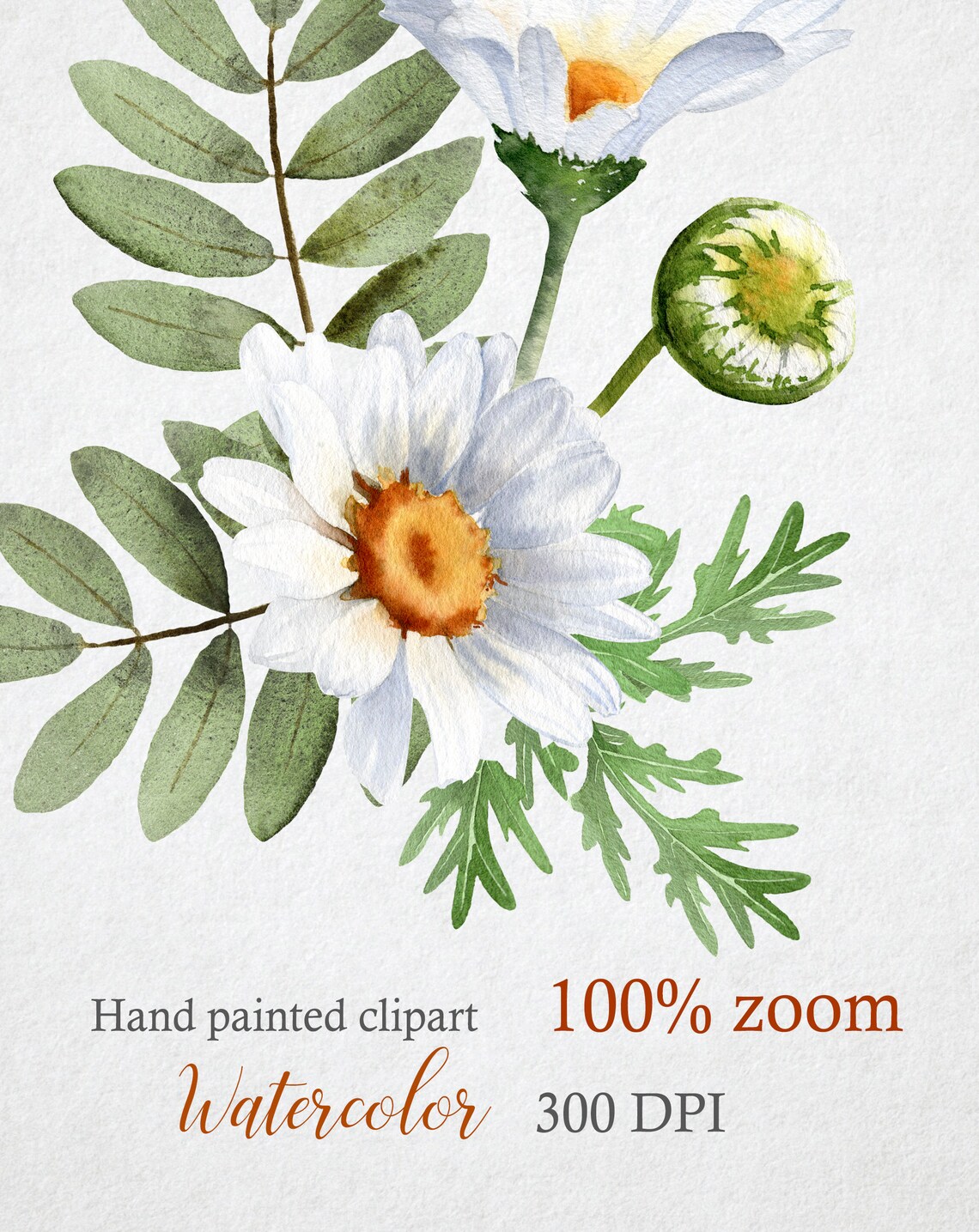 Daisy Flower Border Clipart PNG. Floral Garland, Seamless Design ...