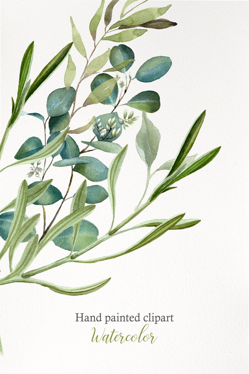 Greenery Clipart. Watercolor Eucalyptus PNG Green Leaves, Branch ...