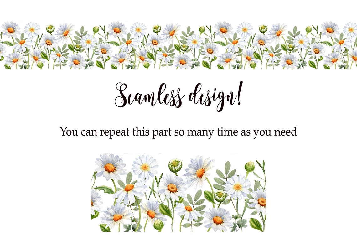 Daisy Flower Border Clipart PNG. Floral Garland, Seamless Design ...
