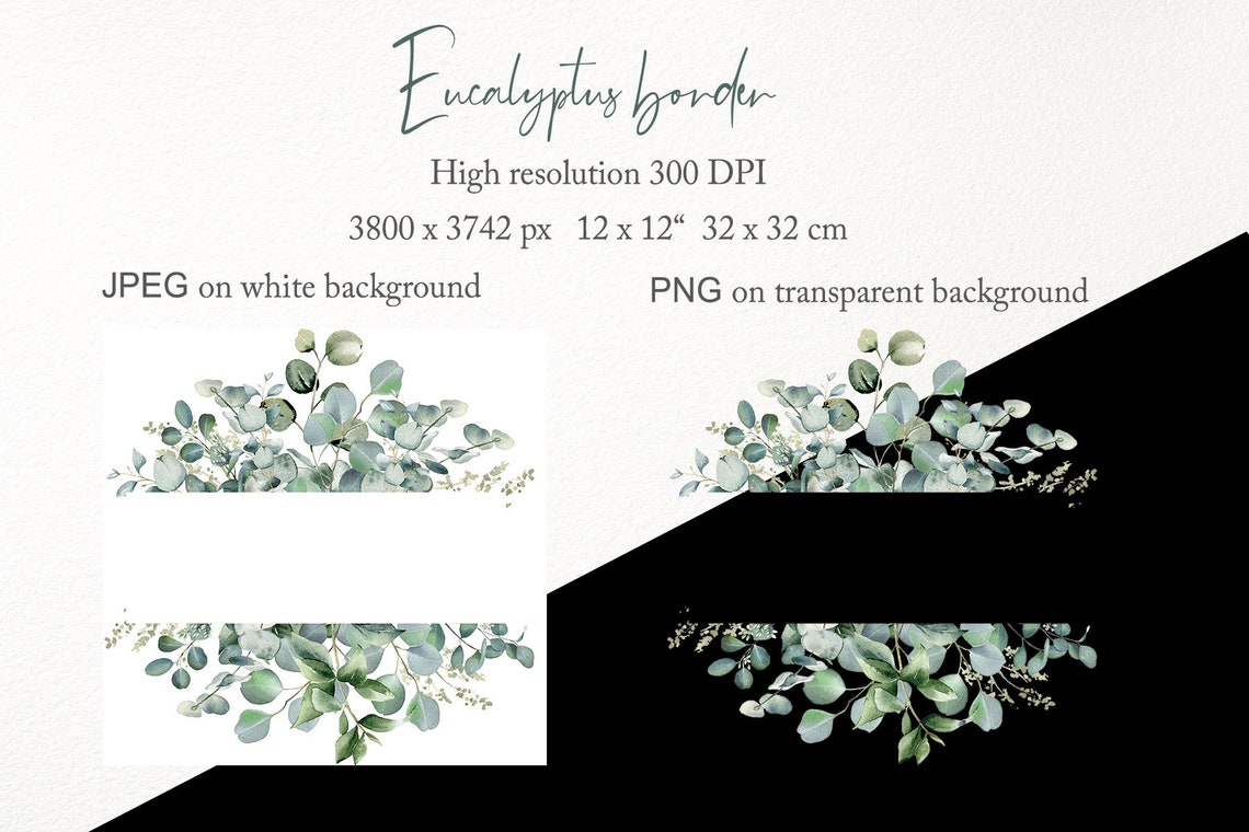 Eucalyptus Border Clipart. Greenery Frame PNG. Green Leaves Watercolor ...