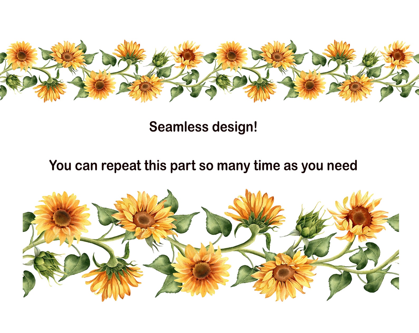Sunflower Border Clipart. Watercolor Sunflowers Frame PNG. Seamless ...