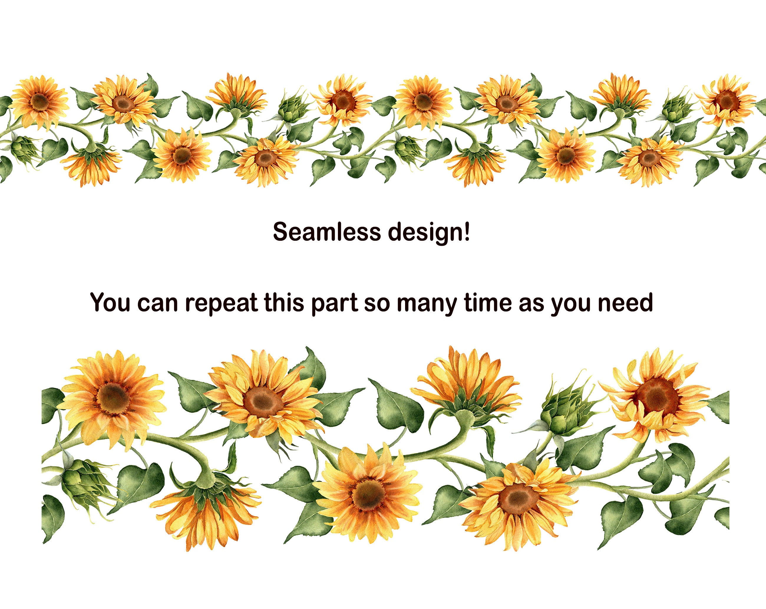 Sunflower Border Clipart. Watercolor Sunflowers Frame PNG. Seamless ...