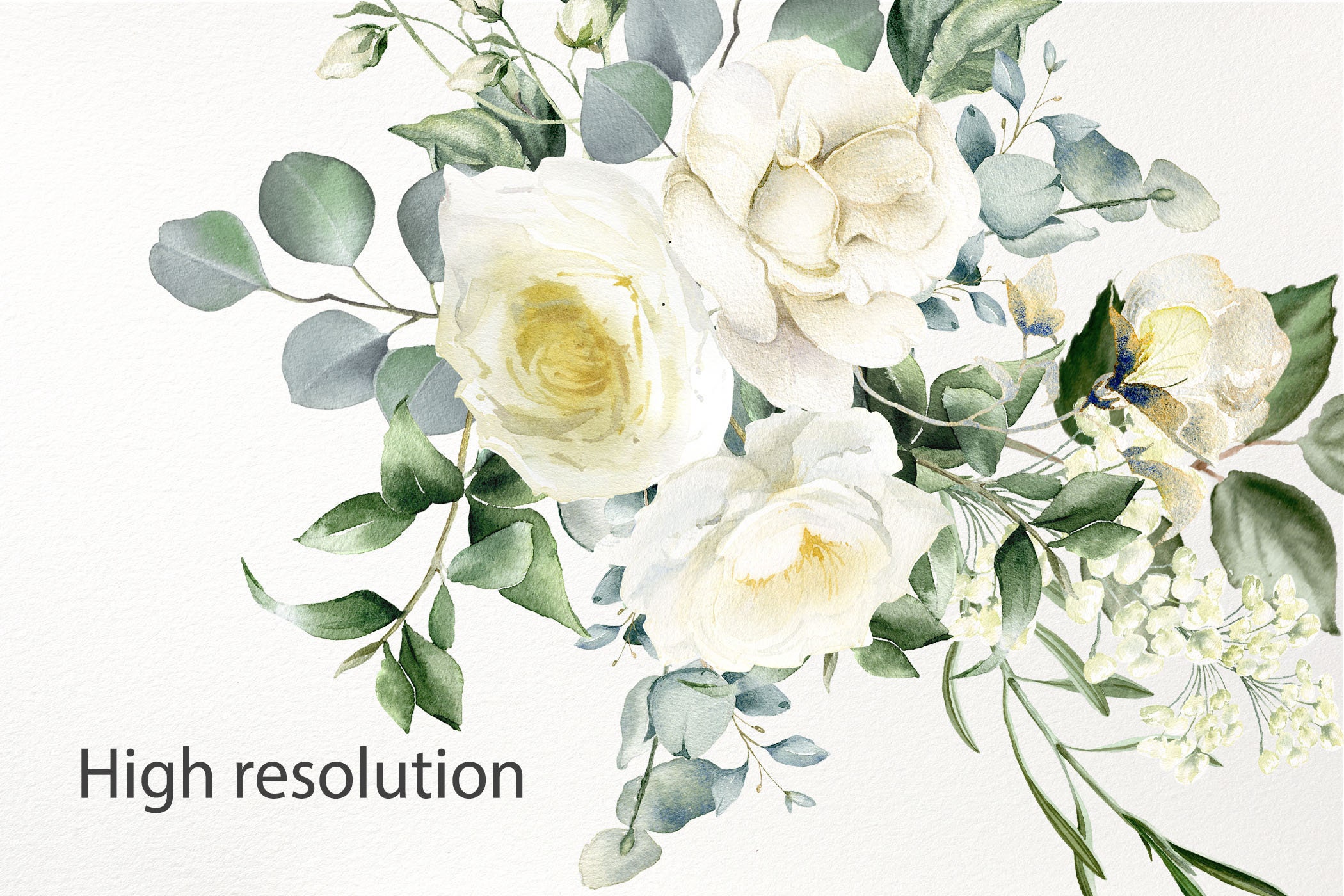 Watercolor White Roses Clipart. Creamy Ivory Alabaster Peony Flowers ...