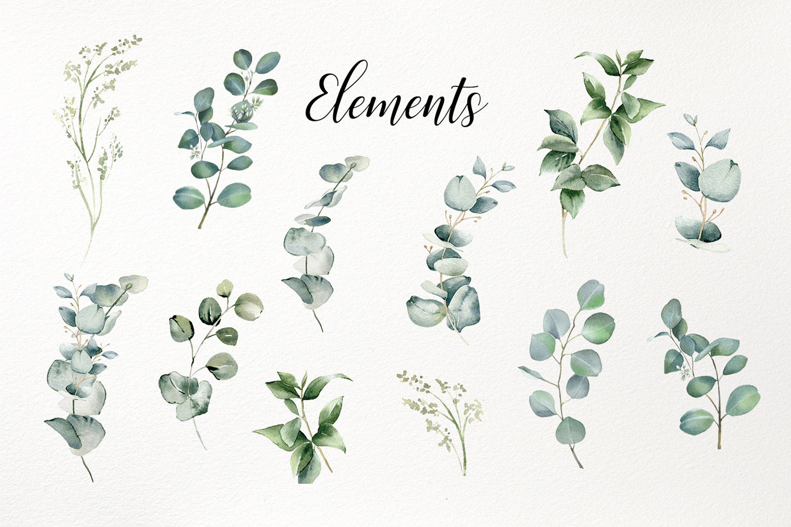 Watercolor Eucalyptus Clipart. Greenery Border, Wreath PNG. Sage Green ...