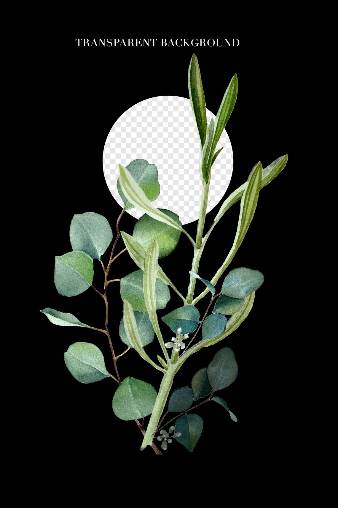 Greenery Clipart. Watercolor Eucalyptus PNG Green Leaves, Branch ...