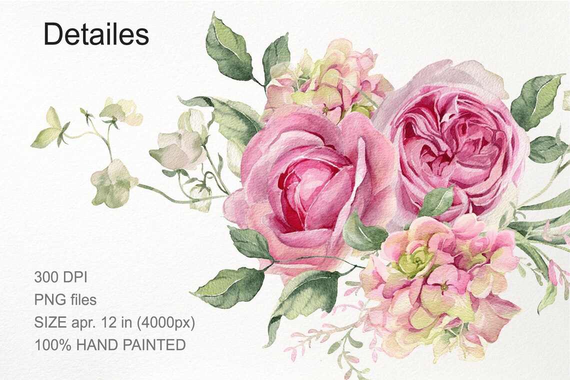 Pink Flowers Clipart. Watercolor Rose, Peony PNG. Floral Border, Wreath ...