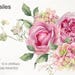 Pink Flowers Clipart. Watercolor Rose, Peony PNG. Floral Border, Wreath ...