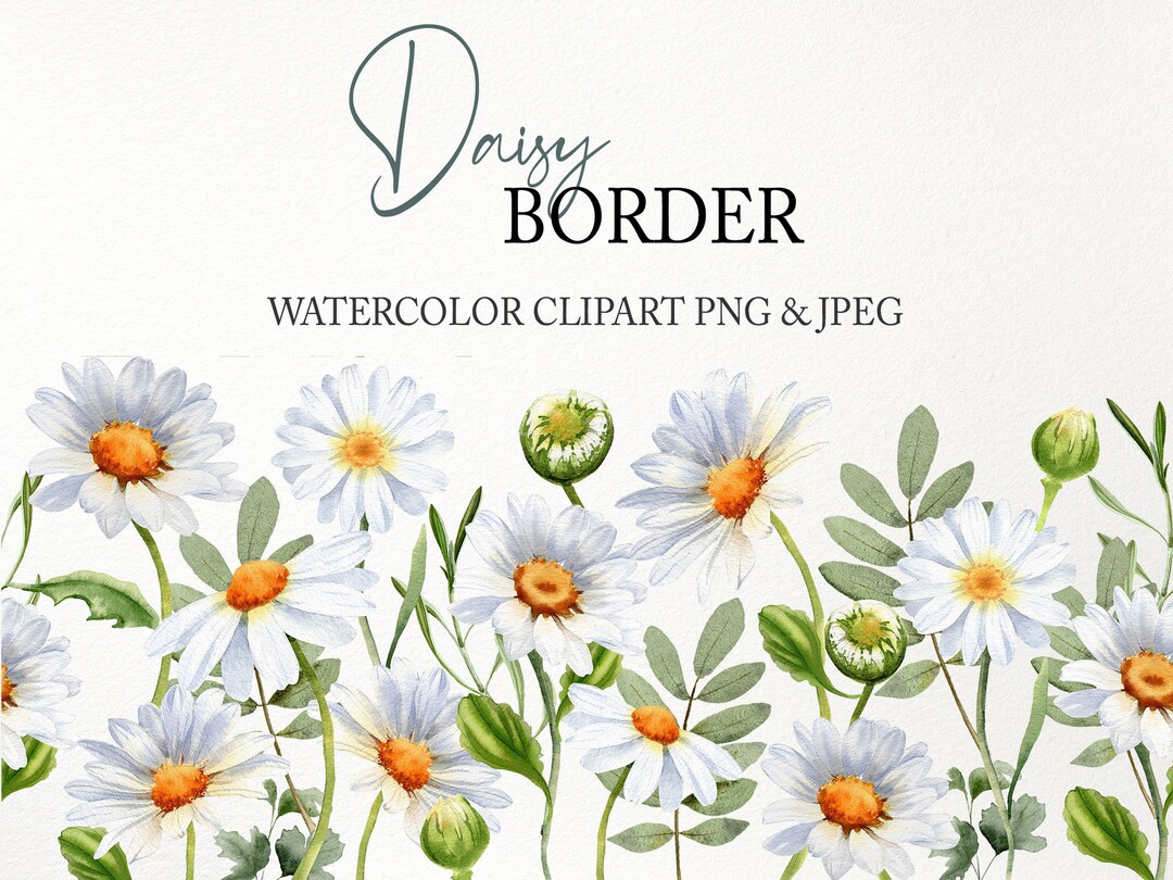 Daisy Flower Border Clipart PNG. Floral Garland, Seamless Design ...