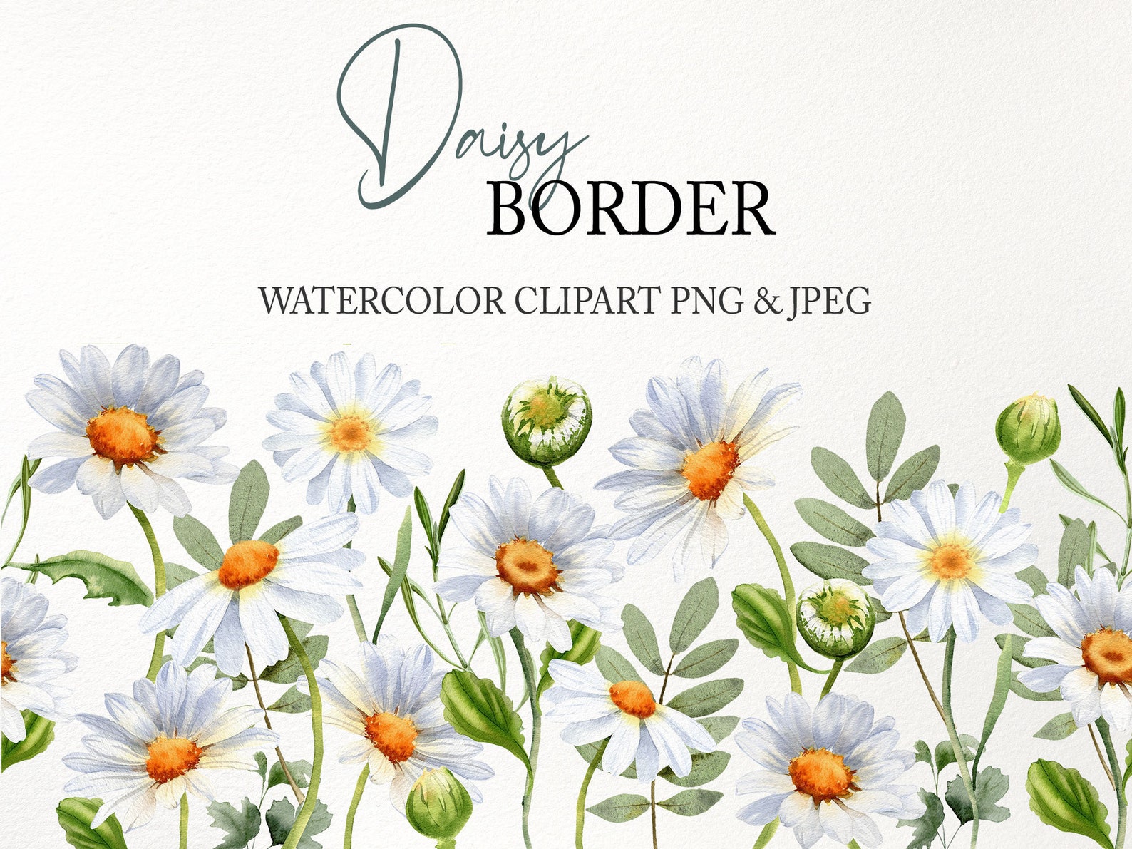 Daisy Flower Border Clipart PNG. Floral Garland, Seamless Design ...