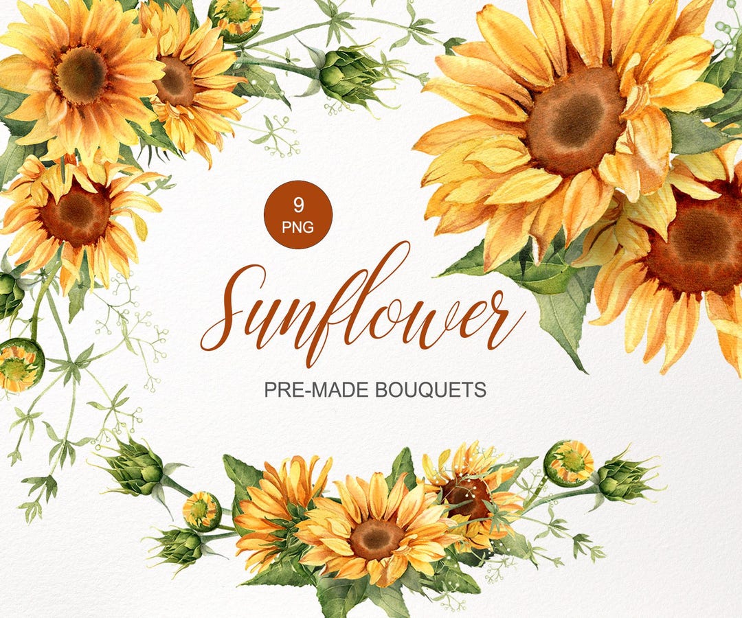 Watercolor Sunflower Clipart. Sunflowers Bouquet PNG. Floral ...