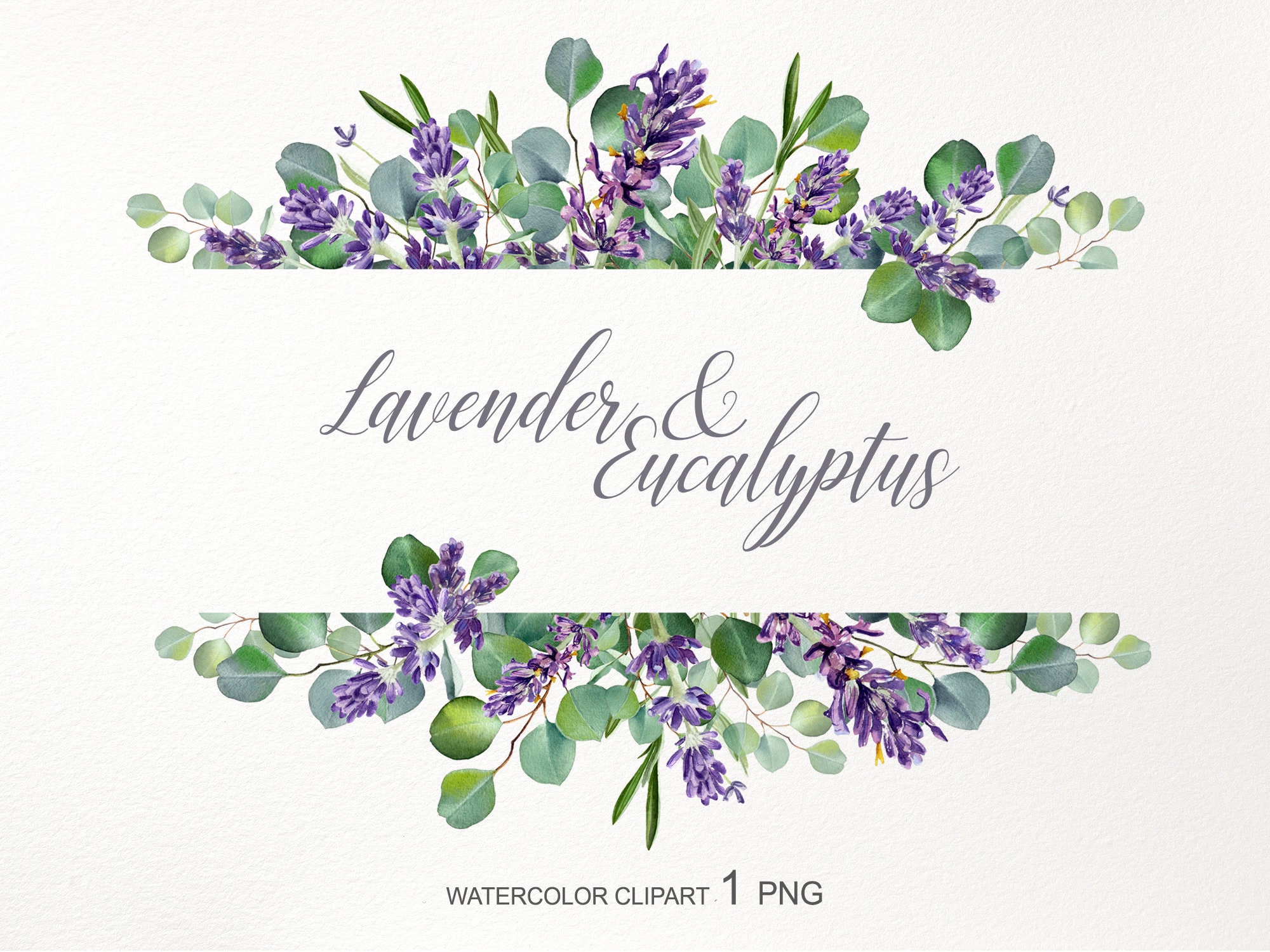 Watercolor Eucalyptus & Lavender Border. Purple Flowers Clipart ...