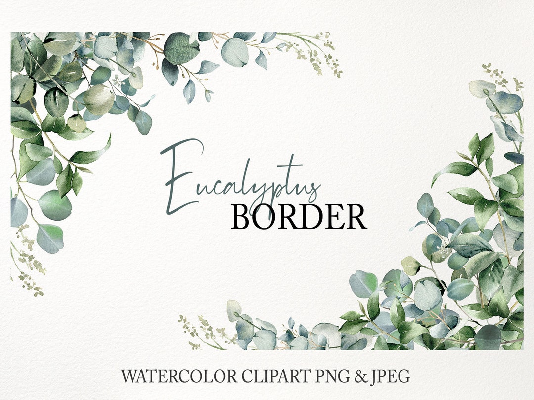 Eucalyptus Corner Border Clipart. Greenery Frame PNG. Sage Green Leaves ...