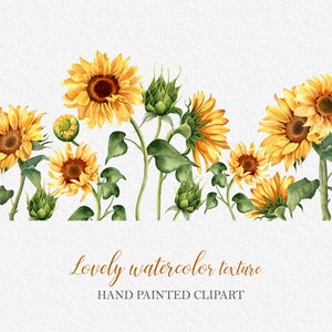 Sunflower Border Clipart. Watercolor Sunflowers Frame PNG. Seamless ...
