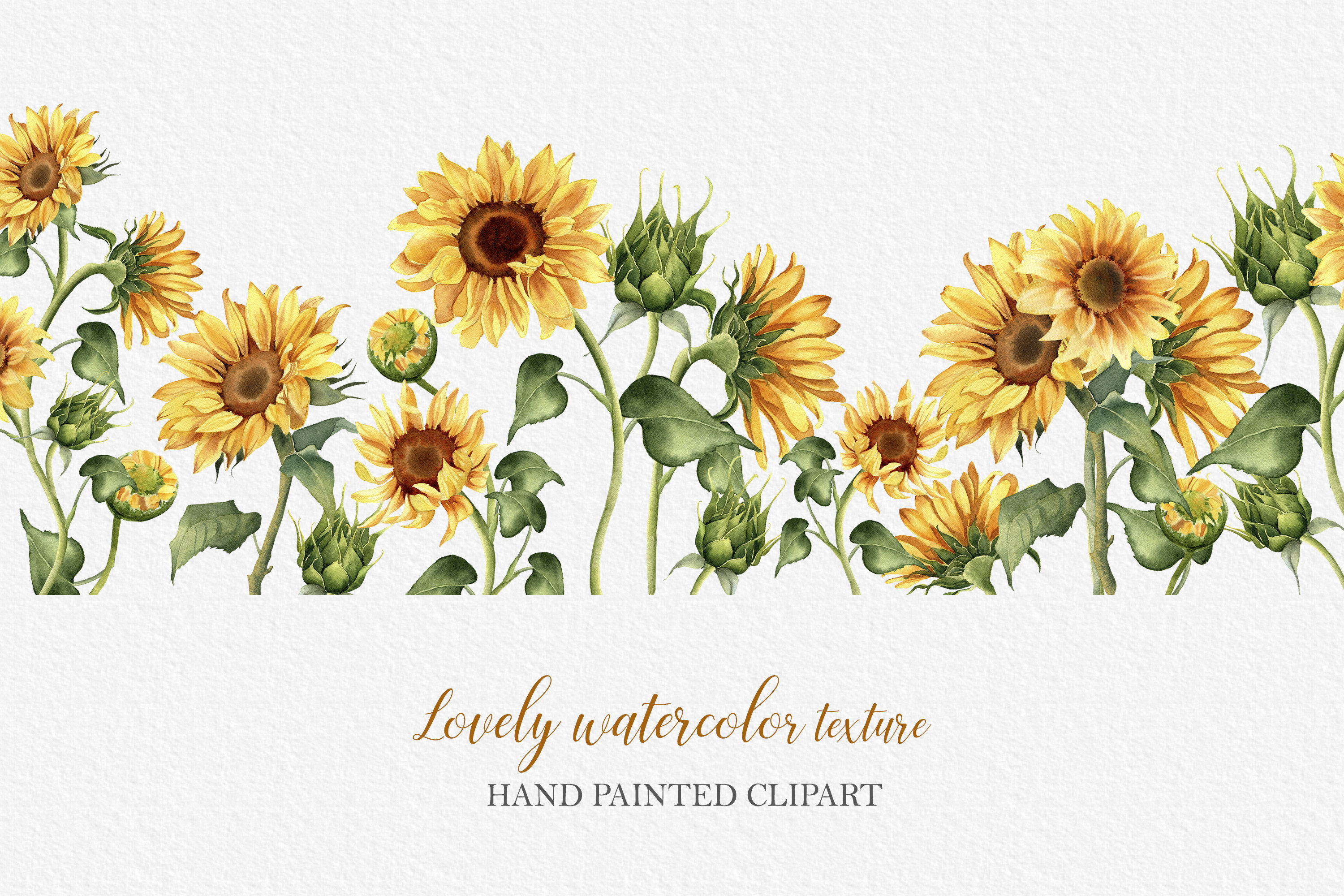 Sunflower Border Clipart. Watercolor Sunflowers Frame PNG. Seamless ...