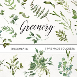 Greenery Clipart. Watercolor Eucalyptus PNG Green Leaves, Branch ...