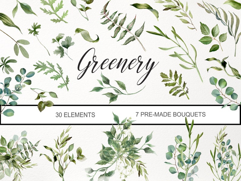 Greenery Clipart. Watercolor Eucalyptus PNG Green Leaves, Branch ...