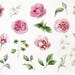 Pink Flowers Clipart. Watercolor Rose, Peony PNG. Floral Border, Wreath ...