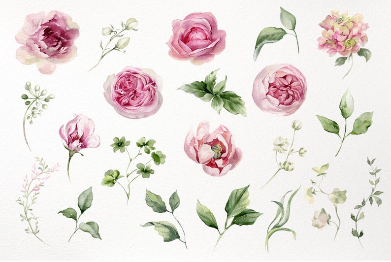 Pink Flowers Clipart. Watercolor Rose, Peony PNG. Floral Border, Wreath ...