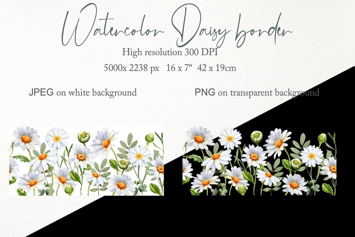 Daisy Flower Border Clipart PNG. Floral Garland, Seamless Design ...